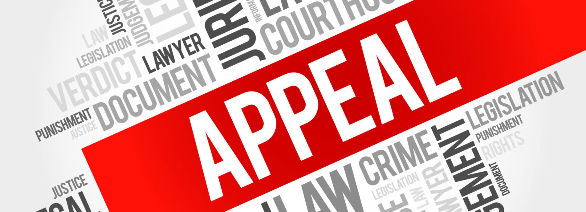 Virginia Appellate Lawyers | VF&N Law, PC